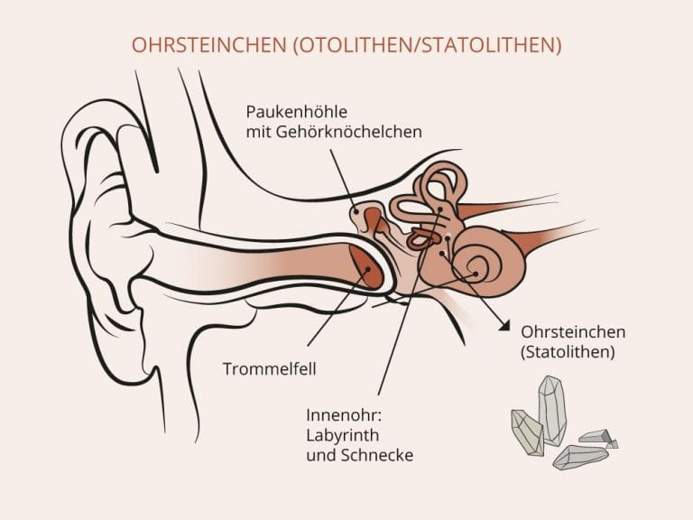 Klicken Im Ohr